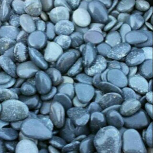 Jual Batu taman, koral kebiruan batu bengkulu, 1 kg | Shopee Indonesia