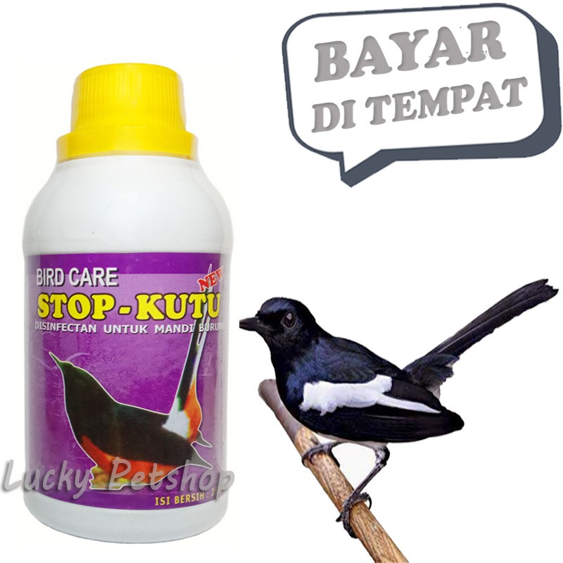 Jual SAMPO BURUNG BIRD CARE STOP KUTU ANTI TICK & FLEA | Shopee Indonesia