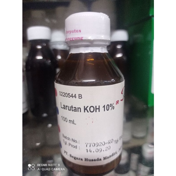 Jual LARUTAN KOH 100ML INDO REAGEN | Shopee Indonesia