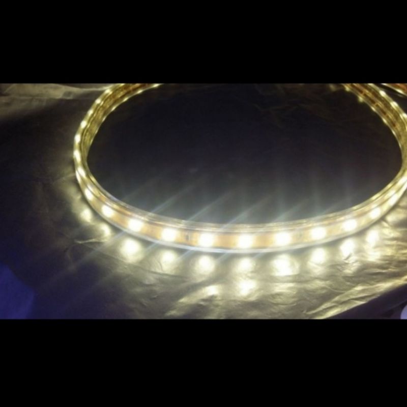 Jual Lampu Led Strip Selang Rope Light Strip Mata Renggang /meter 1 ...