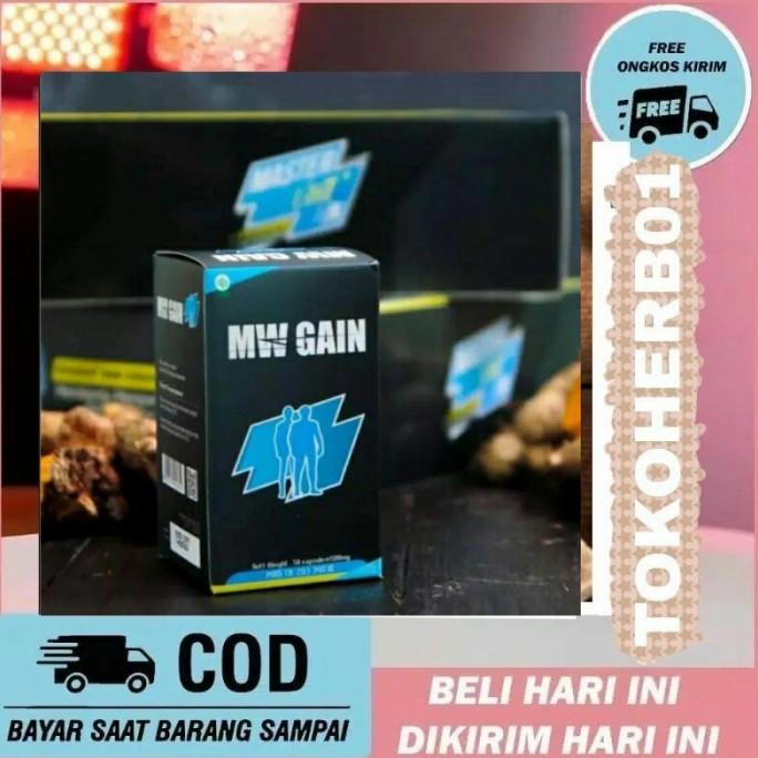 Jual MASTER WEIGHT GAIN MW GAIN PENGGEMUK BADAN original | Shopee Indonesia