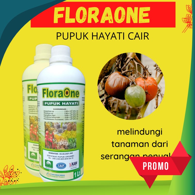 Jual Pupuk Hayati Lengkap, FLORAONE pupuk hayati cair 1 liter, Nutrisi tanaman buah dan sayur ...