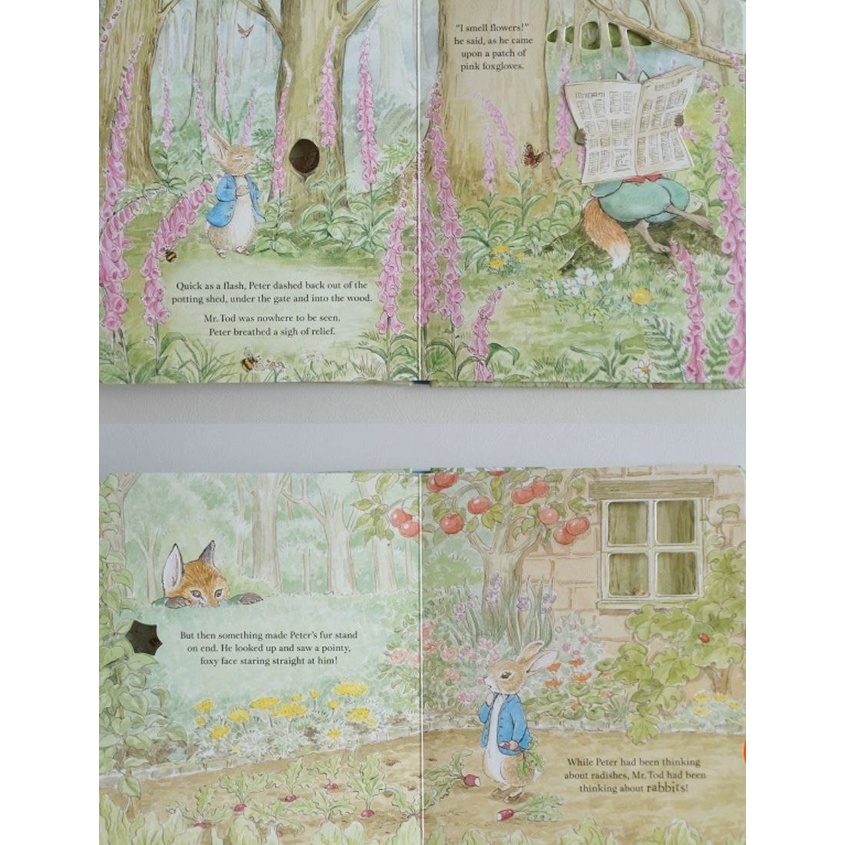 Jual [Edu] Story Book Peep Inside Peter Rabbit Buku Cerita Anak Tentang ...