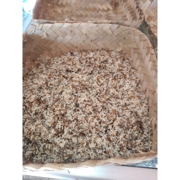 Jual kroto atau telur semut 1kg asli ogrok atau dari pohon | Shopee ...