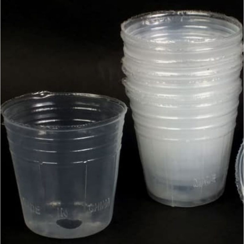 Jual Softpot Seedling Anggrek | Shopee Indonesia