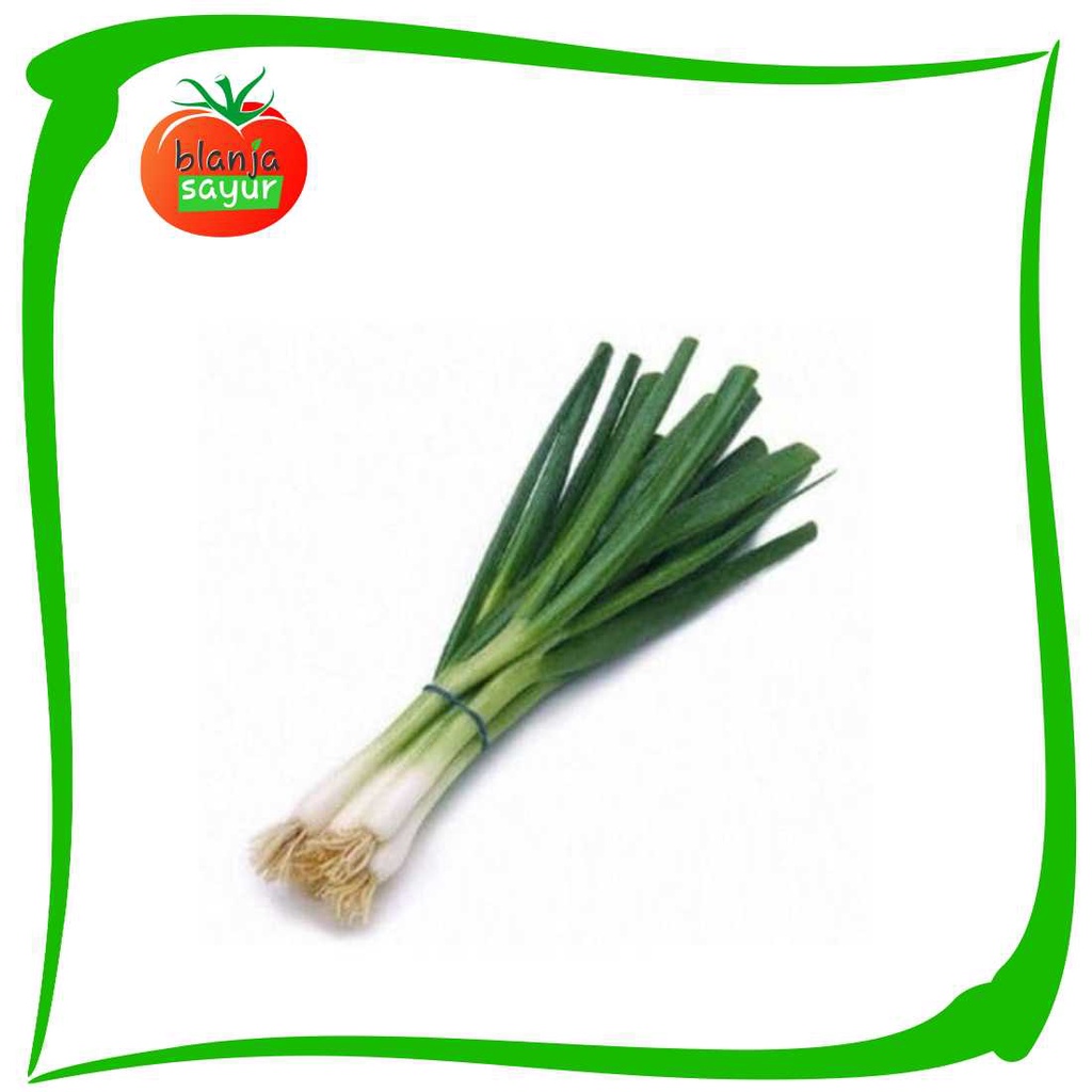 Jual Daun Bawang atau prei 100gr | Shopee Indonesia