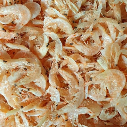 Jual Udang Rebon Kering Tawar 100gr / Ikan Asin Ebi Halus | Shopee ...
