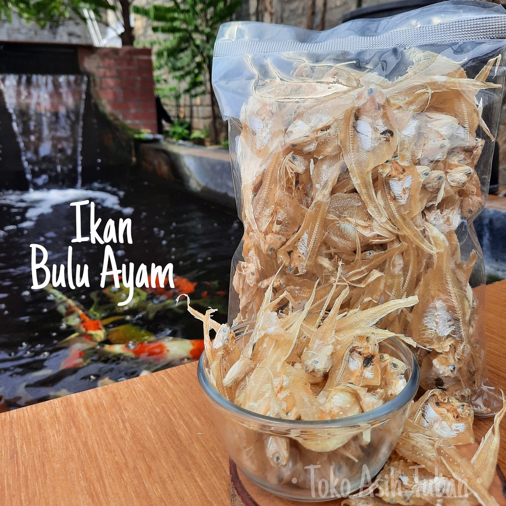 Jual Ikan Asin Bulu Ayam 200gr (Mentah) - Toko Asih / Gereh / Gerih ...