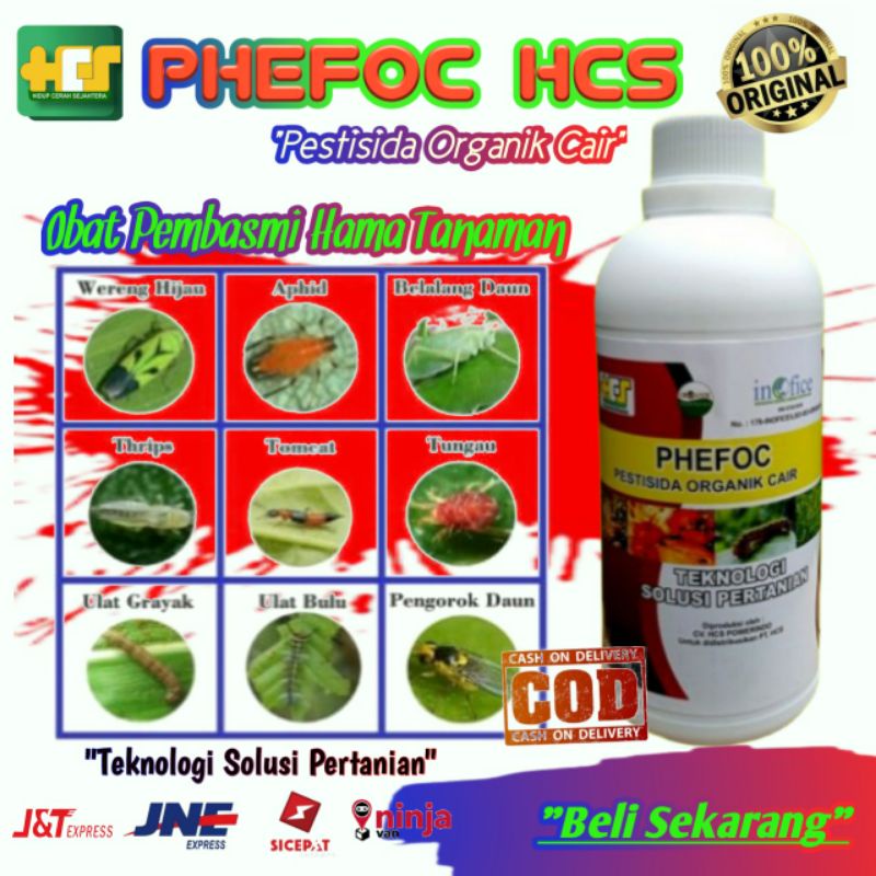 Jual Pest one dan Phefoc obat Hama wereng padi original paling ampuh ...