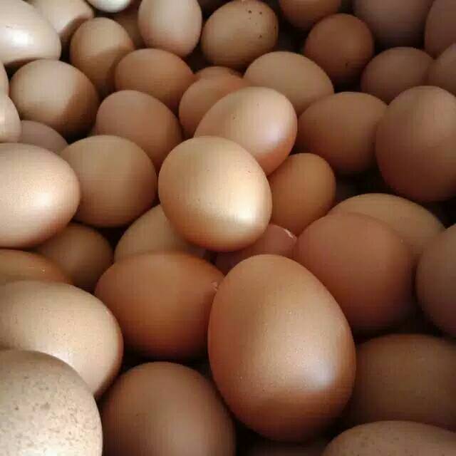 Jual (GOSEND/GRAB) Telur Ayam Negeri Telor Curah | Shopee Indonesia