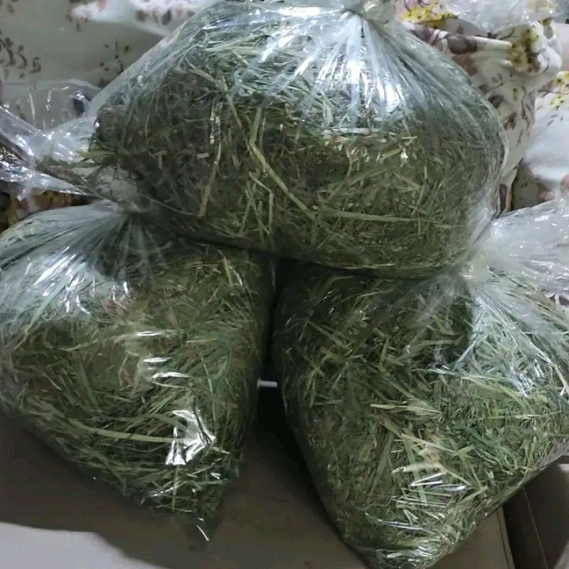 Jual rumput hay timonthy 1kg | Shopee Indonesia