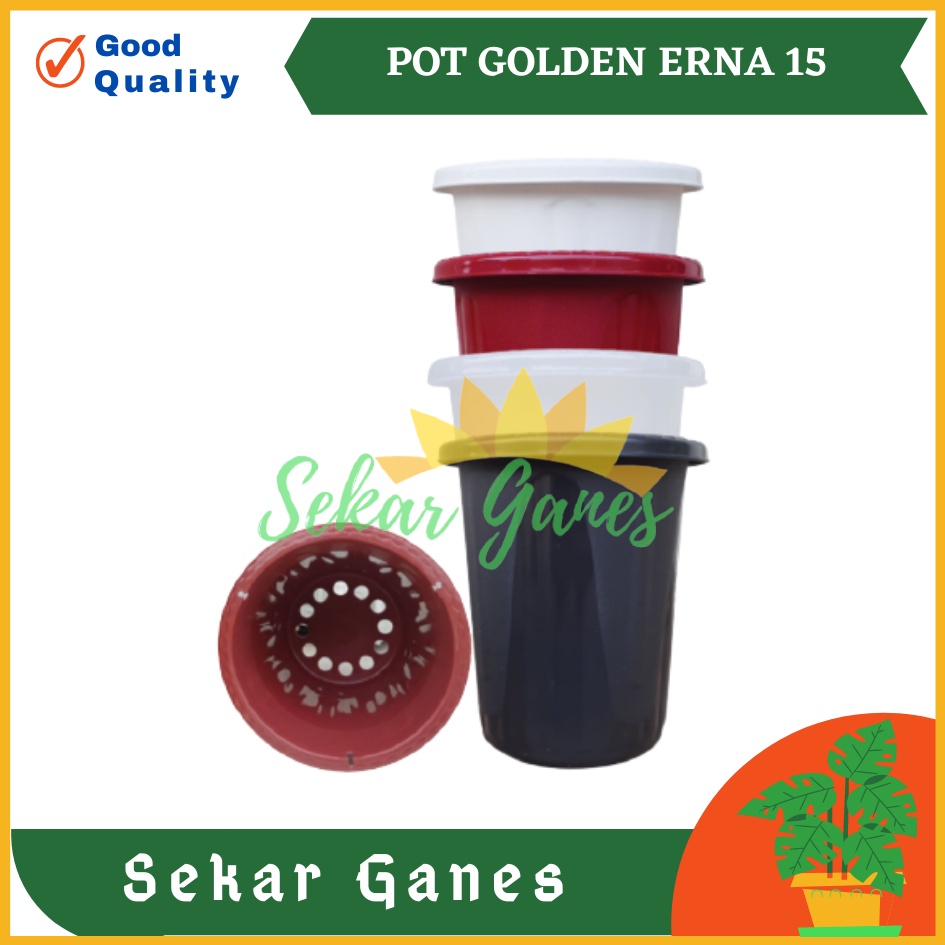 Jual Pot GE15 Golden Erna 15 Putih Bening Transparan Hitam Merah Bata ...