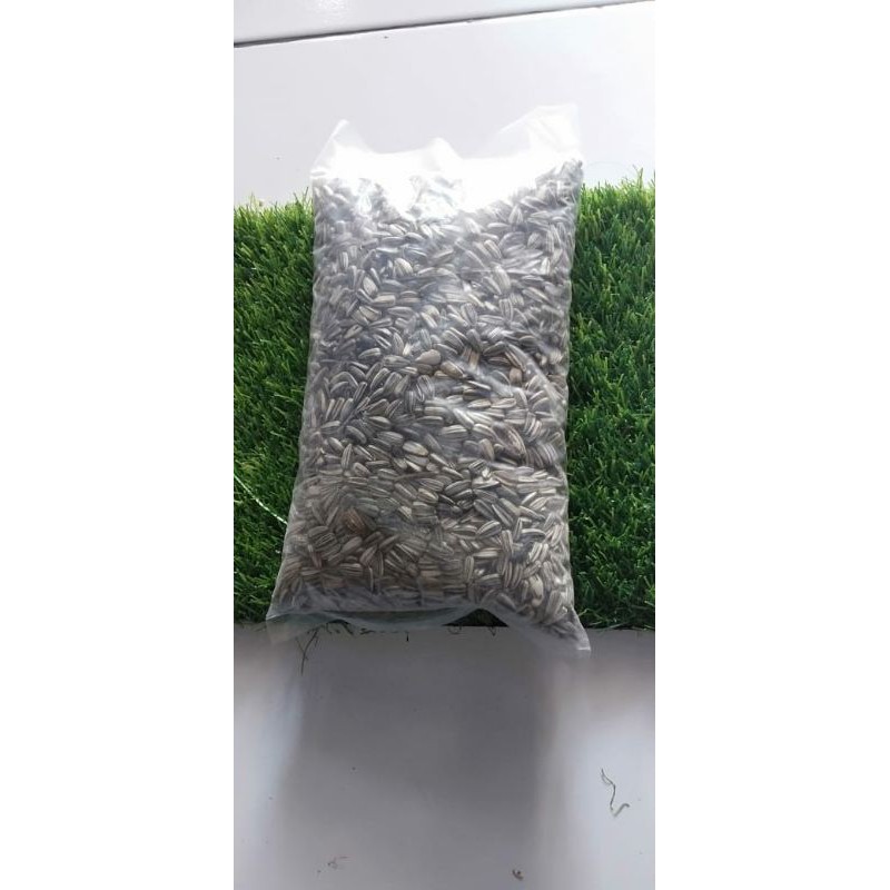 Jual kuaci hitam kemasan 500gr | Shopee Indonesia
