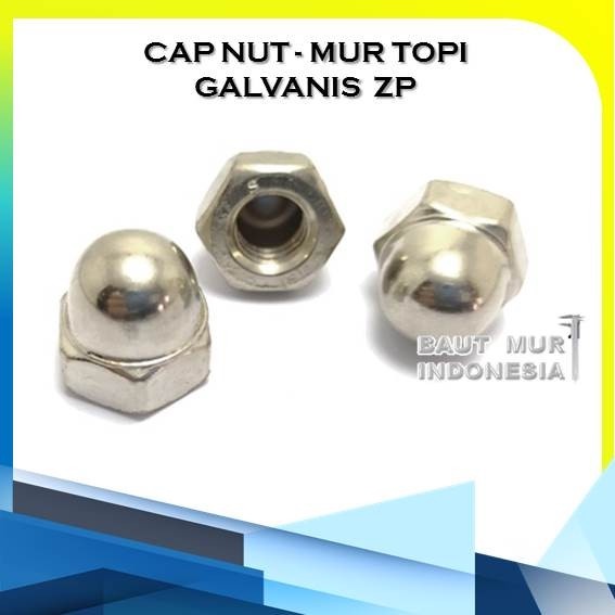 Jual CAP NUT GALVANIS MUR TOPI PUTIH M6 ISI 10PCS | Shopee Indonesia