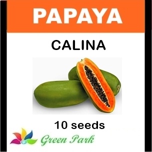 Jual Benih Biji Papaya Pepaya Calina Pack - GP | Shopee Indonesia