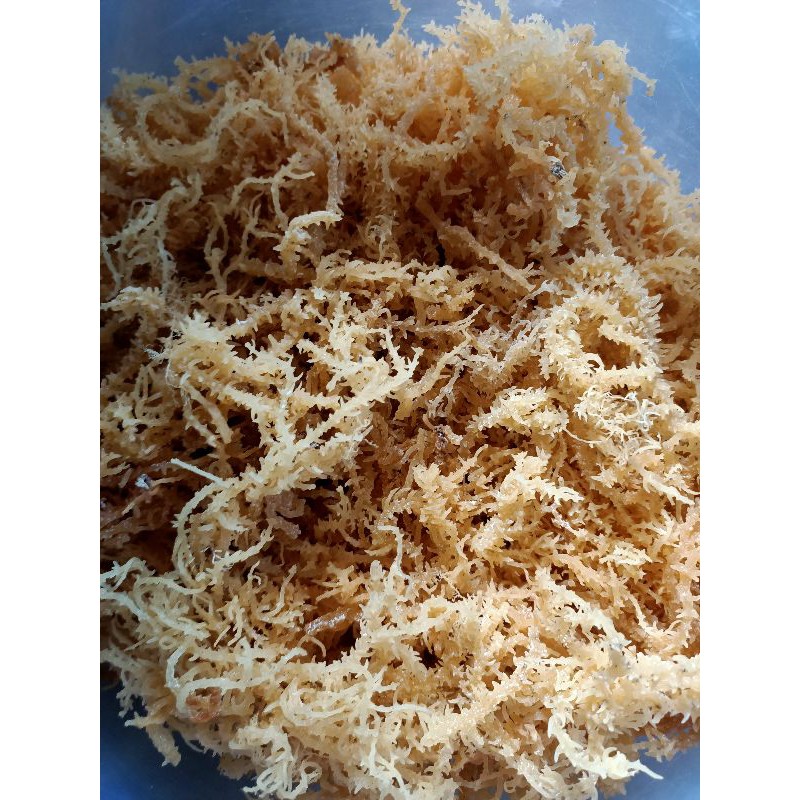 Jual Rumput Laut Putih / Rumput Laut Untuk Es / Rumput Laut Agar agar ...