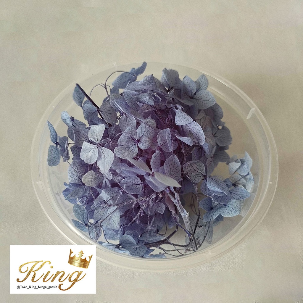 Jual (2gr) Preserved Hydrangea Dried Awetan Bunga Kering Preserved ...