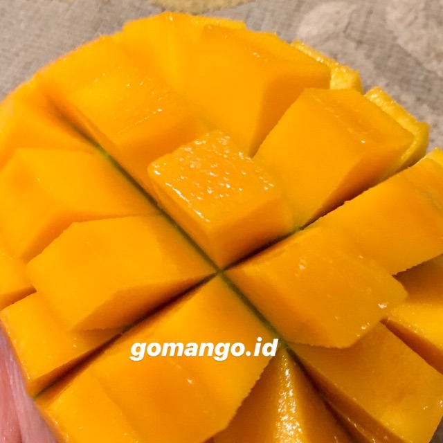 Jual Mangga Masak Pohon 1kg | Shopee Indonesia