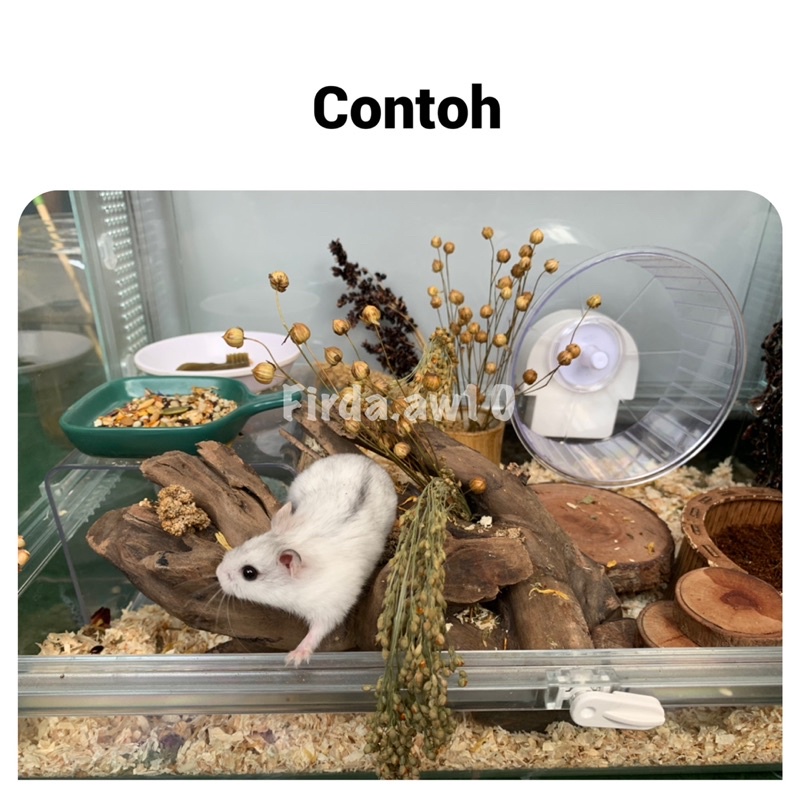 Jual PROMO!! GEX Glass Harmony 450 plus PREMIUM | Kandang Akrilik + Kaca Hamster Landak Mini ...