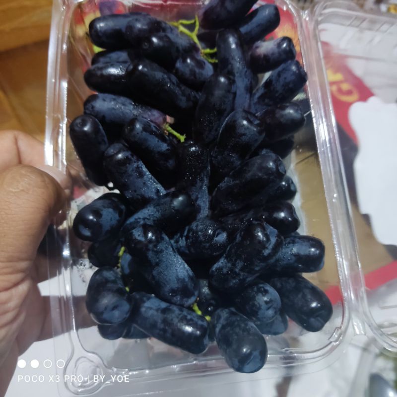 Jual Anggur jari | Shopee Indonesia