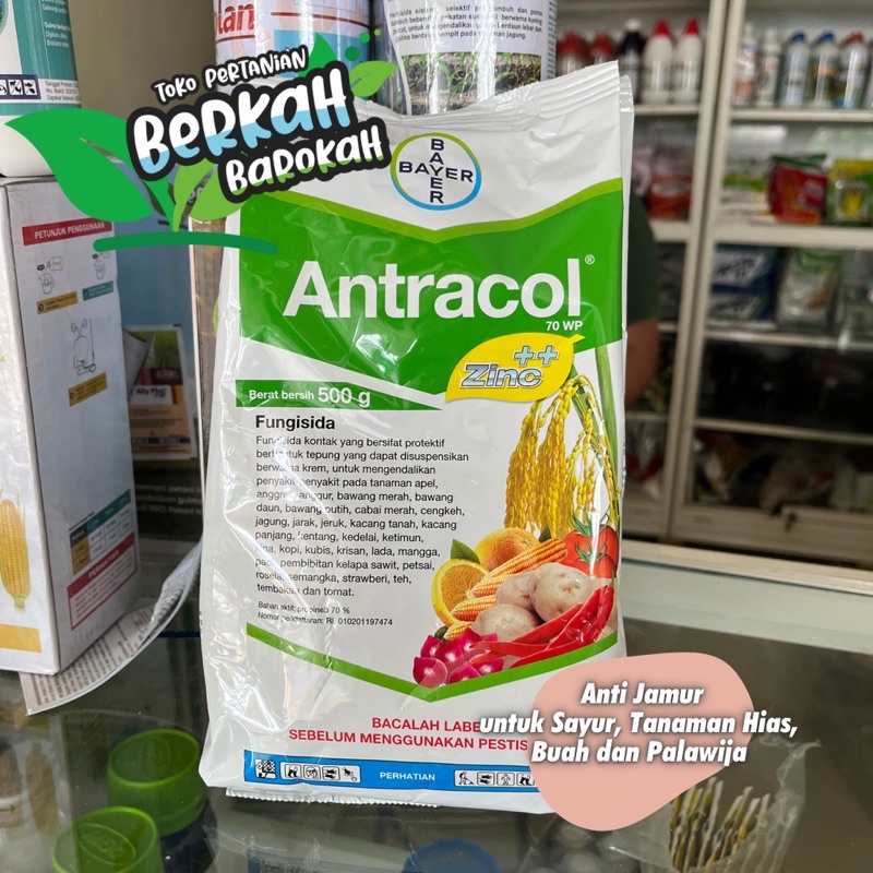 Jual Fungisida Anti Jamur Tanaman Antracol 70 WP 500gr | Shopee Indonesia
