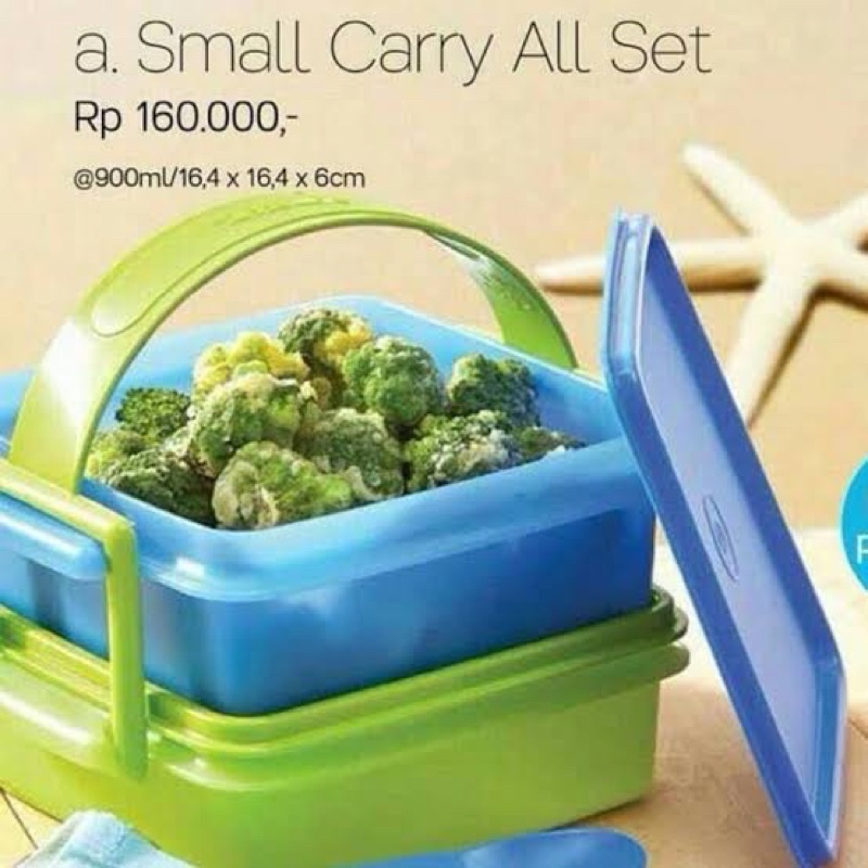 Jual TUPPERWARE SMALL CARRY ALL SET | Shopee Indonesia