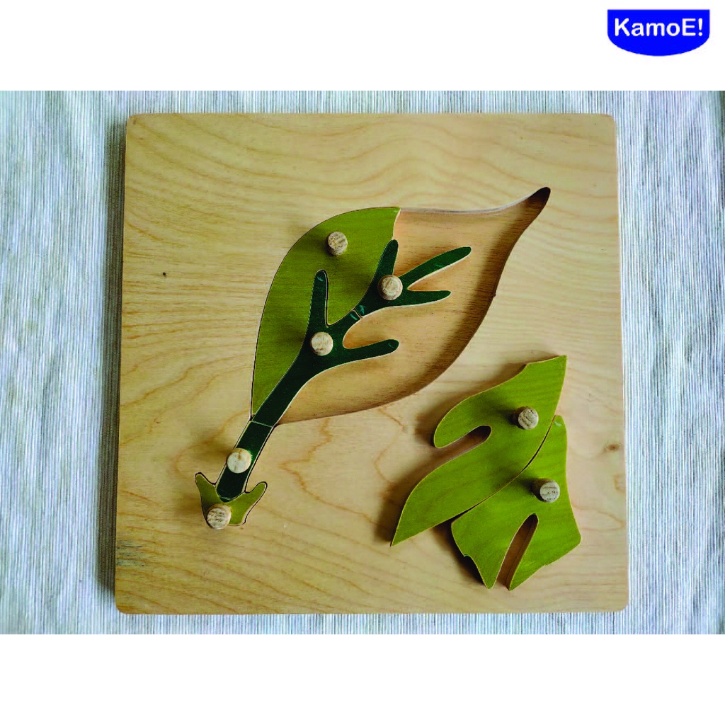 Jual Botany Puzzle : Daun | Shopee Indonesia