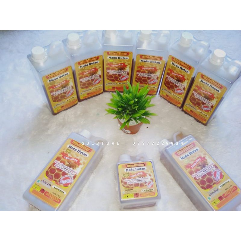 Jual Madu Hutan Kalimantan 1kg Bee Pollen Dan Royal Jelly Madu Berkhasiat Multi Manfaat 1000gr ...