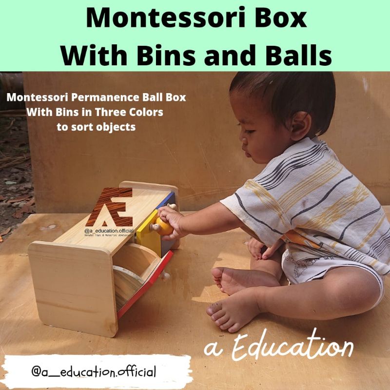 Jual Montessori Box With Bins and Balls | Shopee Indonesia