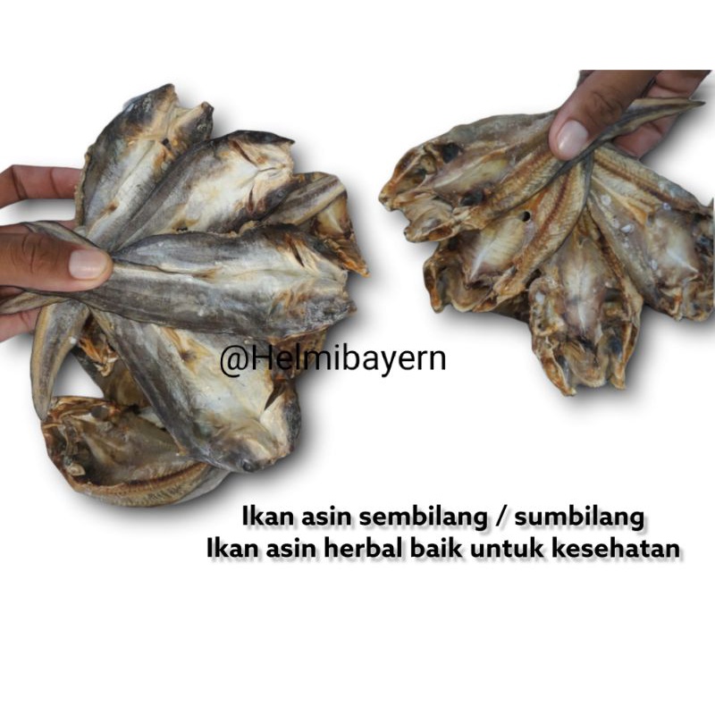 Jual Ikan asin sembilang / ikan sumbilang super segar baik untuk ...