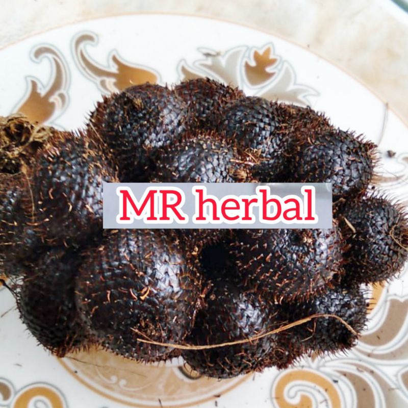 Jual Salak muda segar per 1 goyot order baru petik | Shopee Indonesia