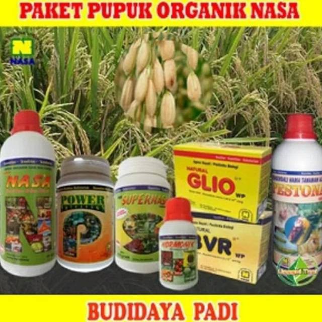 Jual ASLI NASA Paket Pupuk Organik Budidaya Padi Poc Nasa ...