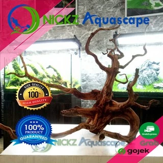 Produk Nickz aquascape | Shopee Indonesia
