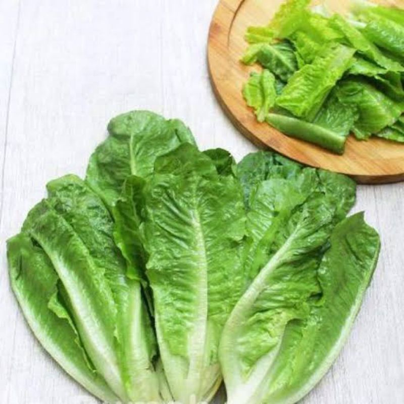 Jual romaine lettuce selada romaine salad | Shopee Indonesia