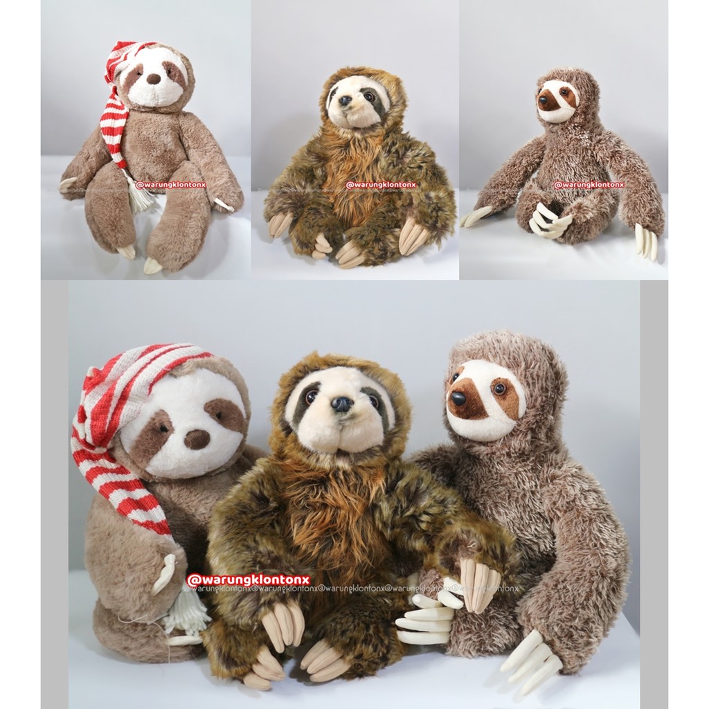 Jual Boneka Binatang Kungkang Sloth Besar Premium Kualitas Export ...
