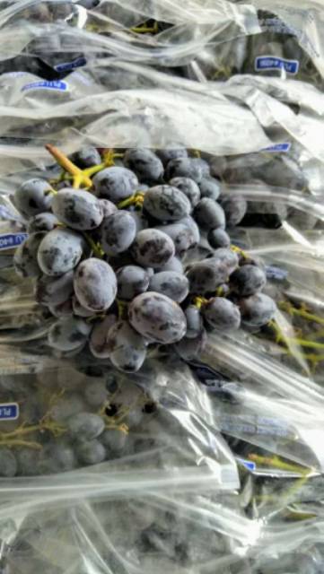 Jual Buah anggur hitam autumn royal sedles no biji 500gr | Shopee Indonesia