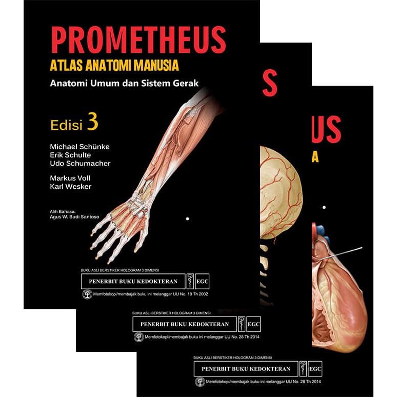 Jual terbaru 3 BUKU - PROMETHEUS (Edisi 3): ATLAS ANATOMI TUBUH MANUSIA ...