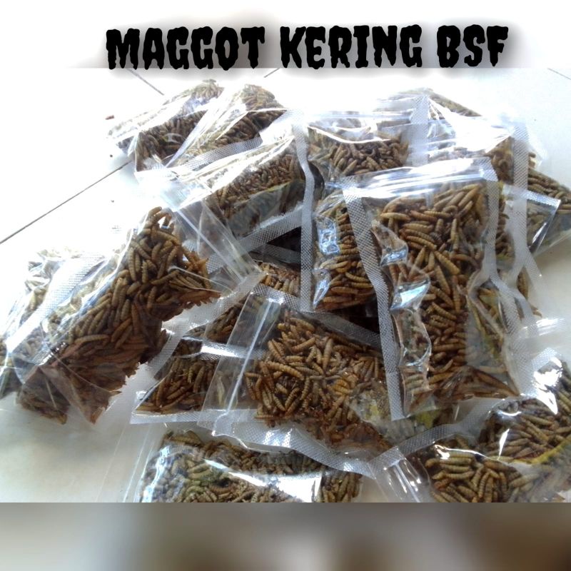 Jual Magot kering BSF/maggot kering 100 gr/Magot kering | Shopee Indonesia