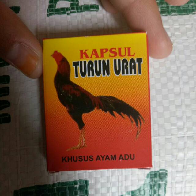 Jual FORMULA KAPSUL TURUN URAT AYAM | Shopee Indonesia