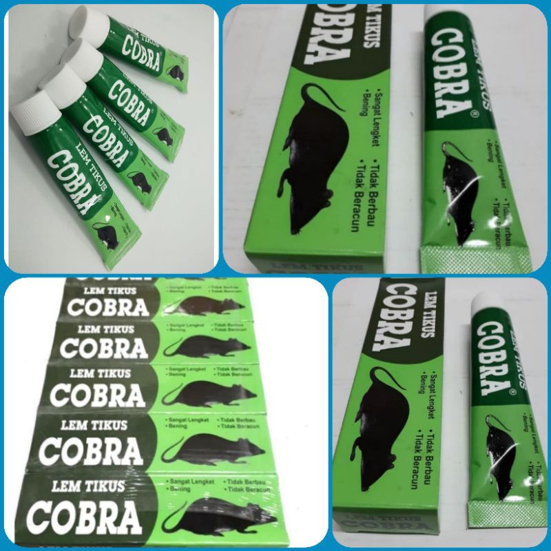 Jual Lem tikus cobra 1 lusin | Shopee Indonesia