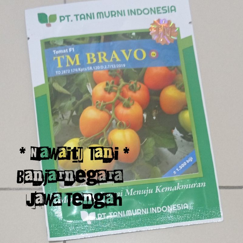 Jual Benih Tomat TM Bravo F1 (5gram) | Shopee Indonesia