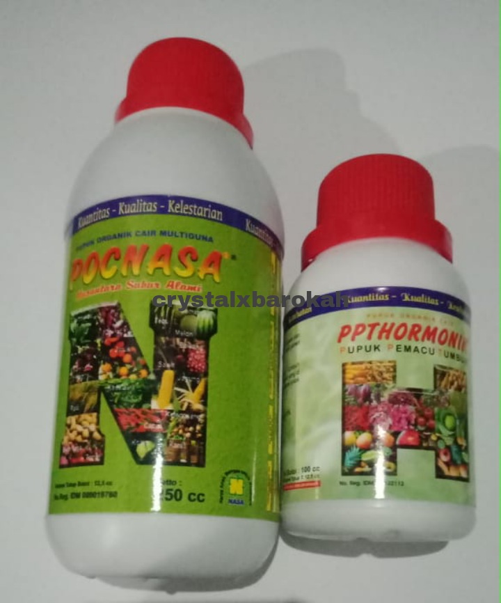 Jual Pupuk Nasa Padi, Paket Pupuk Organik Cair Untuk Tanaman Padi ...