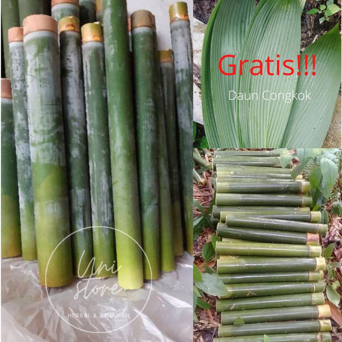 Jual New Ruas Bambu Untuk Nasi Lemang Paket Lengkap + Daun Congkok Siap ...