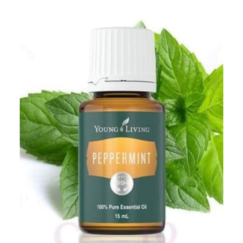 Jual Peppermint Essential Oil Young Living | Shopee Indonesia