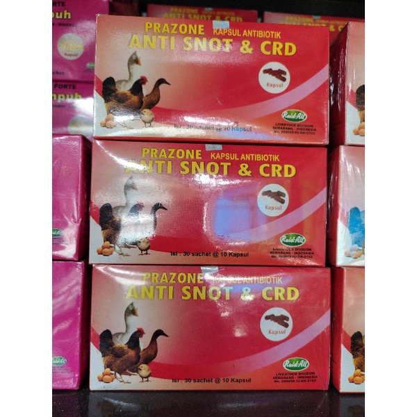 Jual ANTI SNOT & CRD Prazone (kapsul) - Raid All (1saset) | Shopee ...