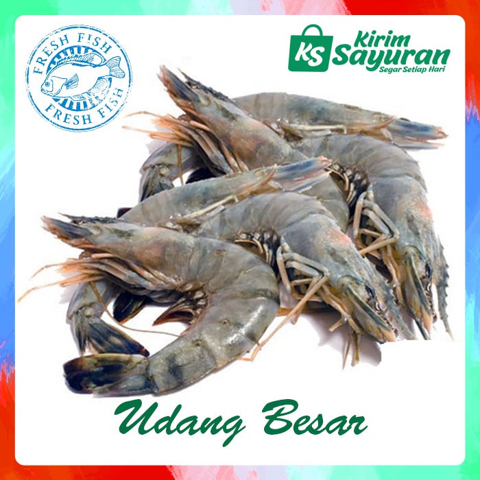 Jual Udang Besar / 12-15 ekor (500 g) | Shopee Indonesia