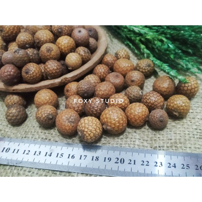 Jual BIJI ROTAN BULAT UKURAN SEDANG BAHAN KERAJINAN | Shopee Indonesia