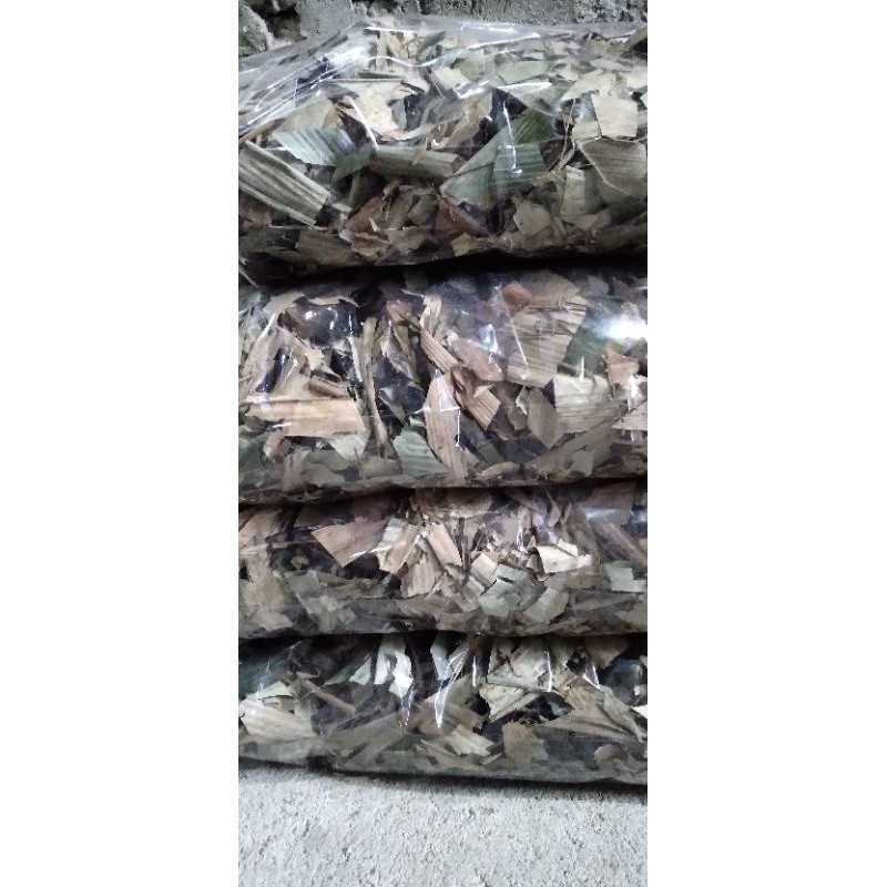 Jual andam daun bambu kering...500gram(media tanam) | Shopee Indonesia