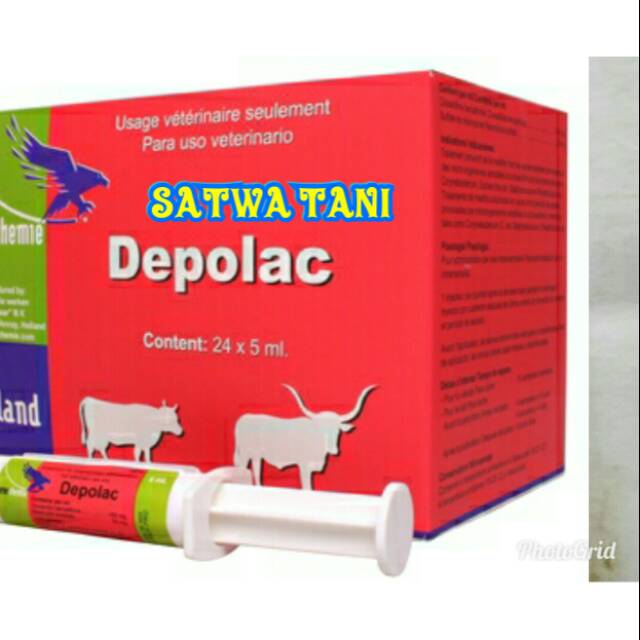 Jual Depolac 5 ml dan Biomycin 5 ml (obat mastitis) | Shopee Indonesia