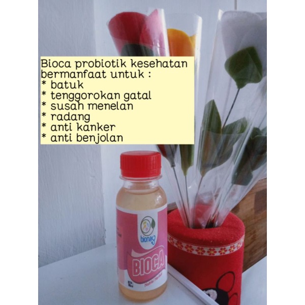 Jual Bioca b14 | Shopee Indonesia